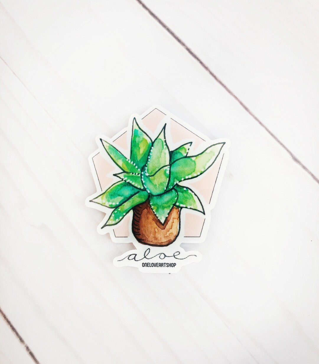ALOE PLANT Sticker, Plant Sticker, Watercolor Sticker, Botanical ...