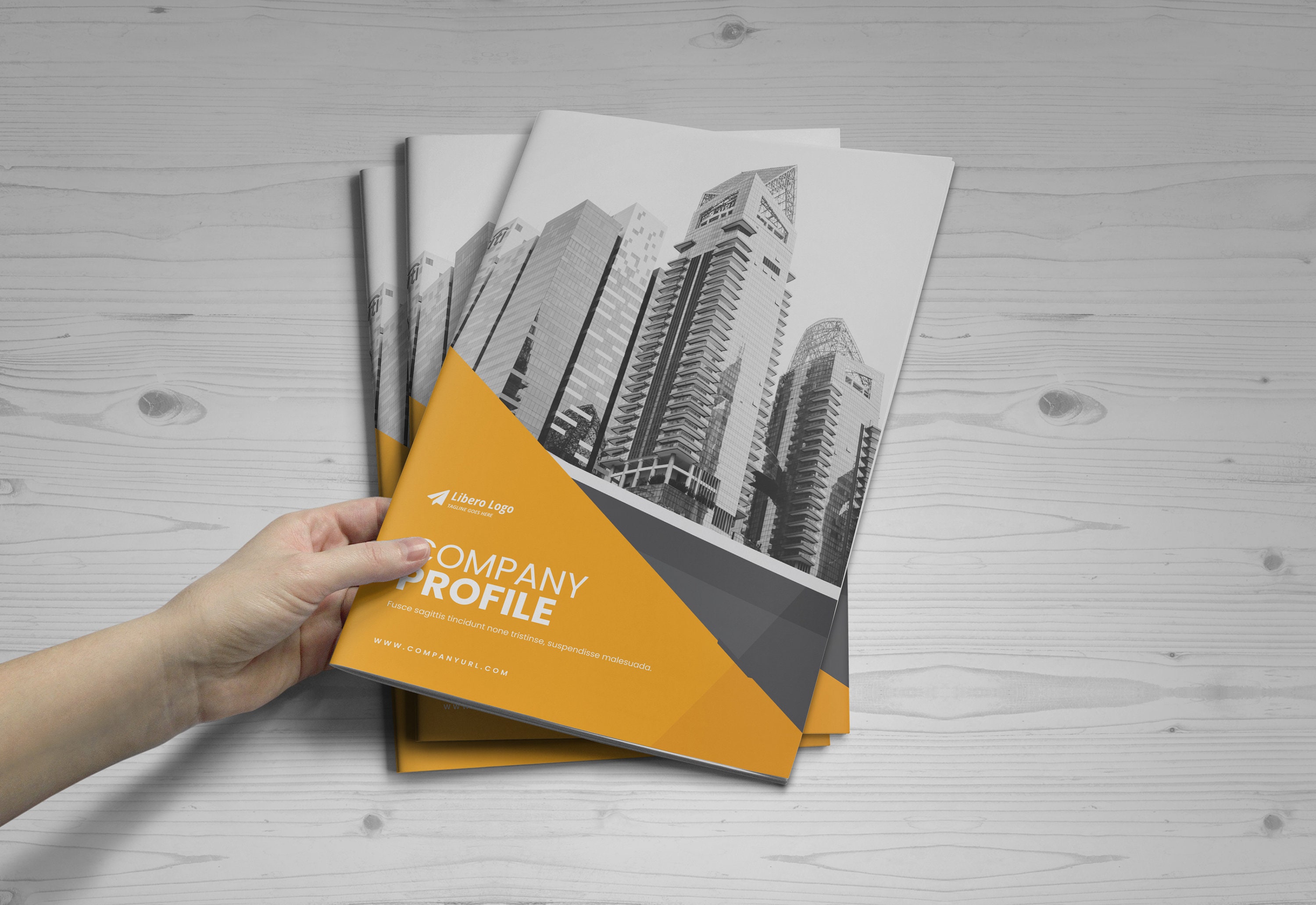 Creative Company Profile Sample