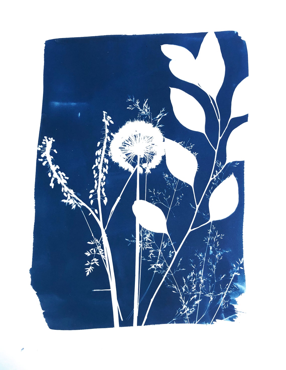 Indigo print indigo sunprint sun print blue indigo | Etsy