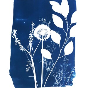 Indigo Print Indigo Sunprint Sun Print Blue Indigo - Etsy