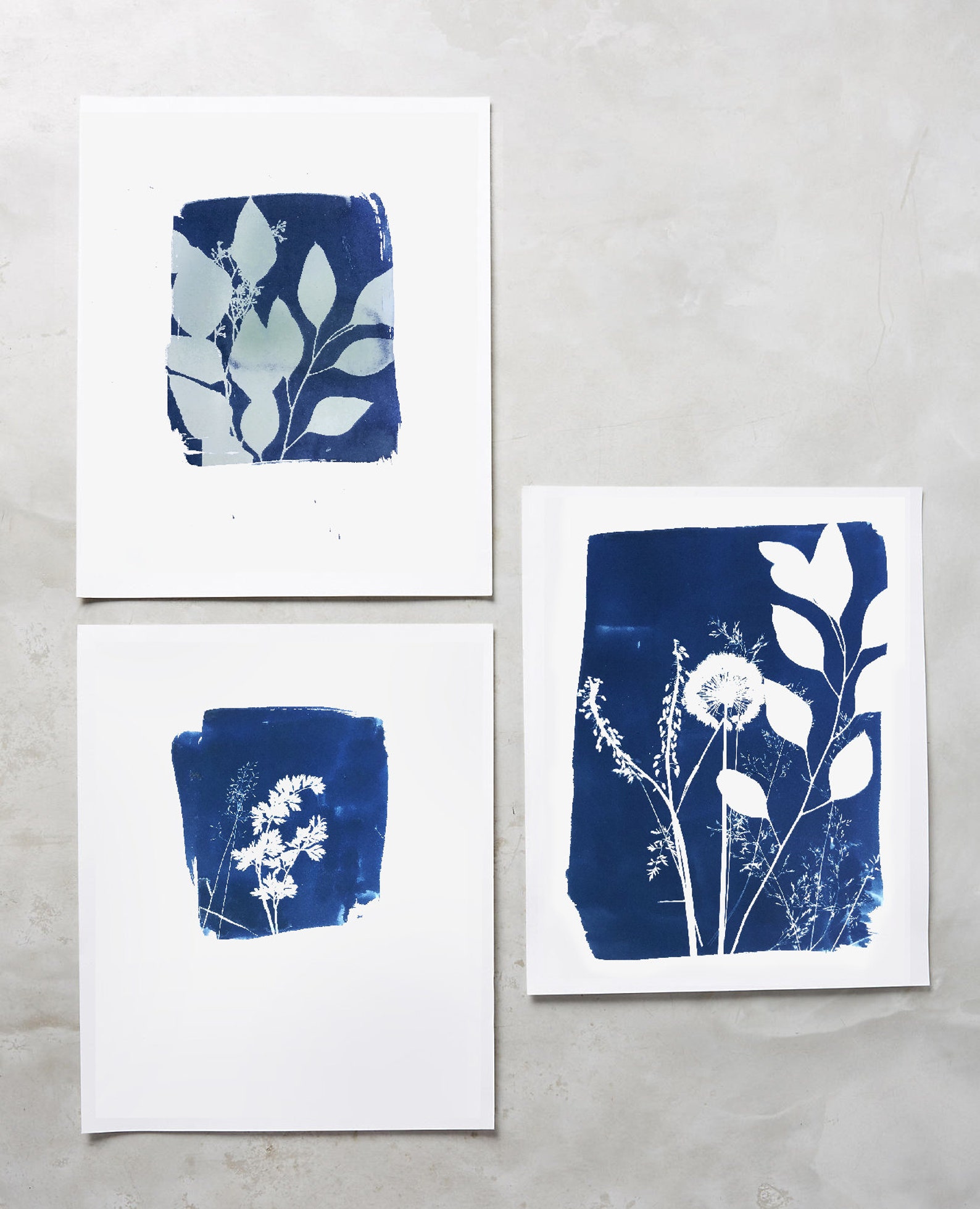 Indigo print indigo sunprint sun print blue indigo | Etsy