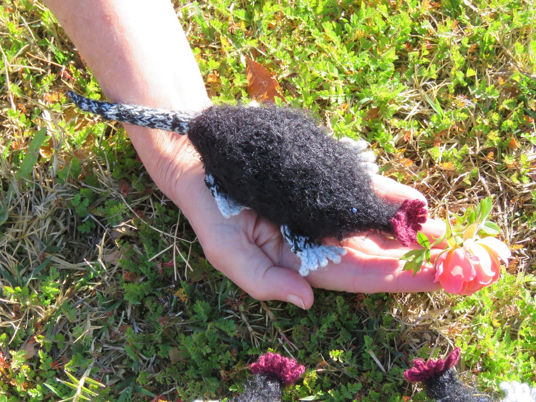 Star Nosed Mole - Etsy