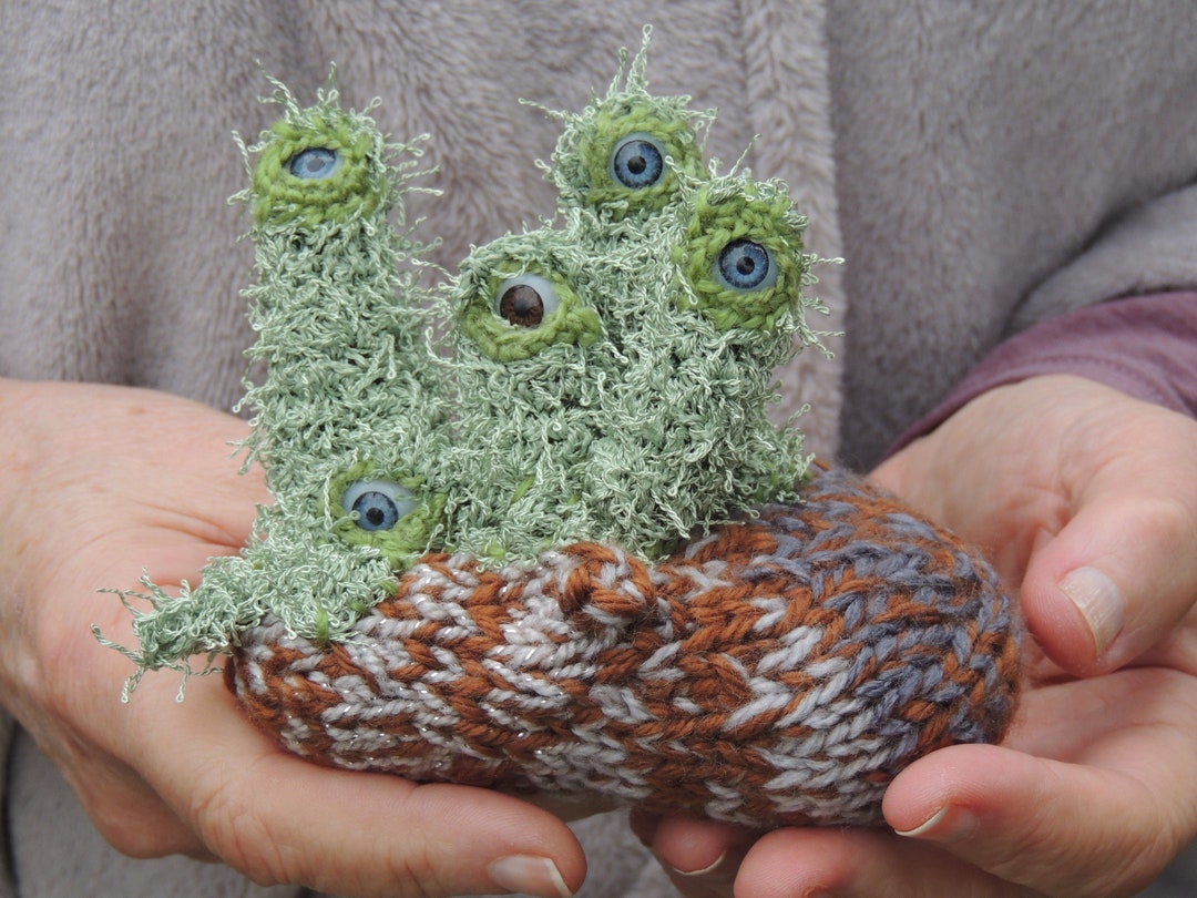 Lichen With Eyes Growing on a Knitted Rock - Etsy