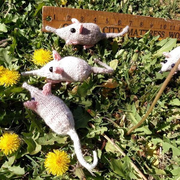 Elephant Shrew - Etsy