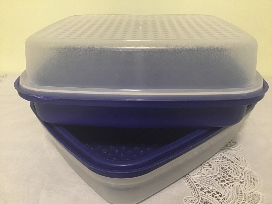 Vintage Blue Tupperware Meat Tenderizer or Meat Storage. - Etsy