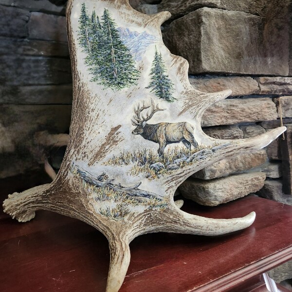 Moose Antler Carving - Etsy