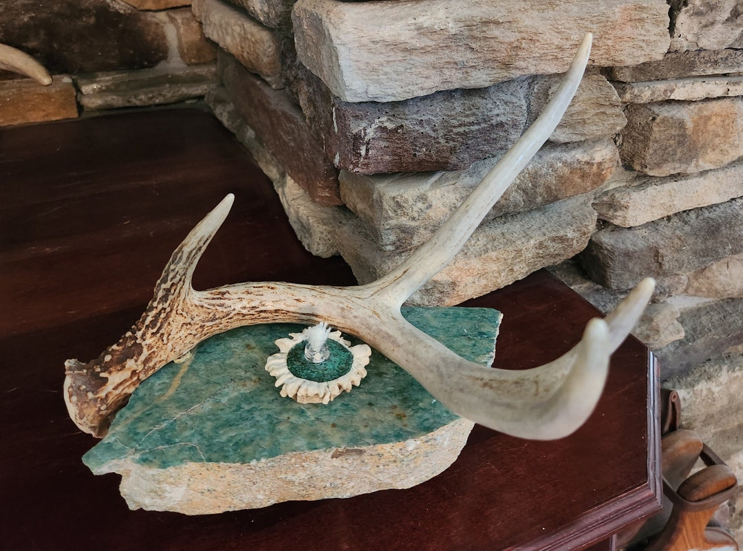 Green Rock With Whitetail Deer Paraffin Oil Candle - Etsy