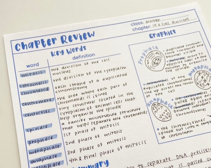 PRINTABLE Student Review Templates, Homeschool Printable, Chapter ...