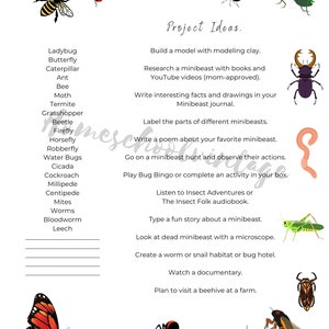 Minibeasts (insects) Simple Ideas Homeschool Printable & DIY Unit Study ...