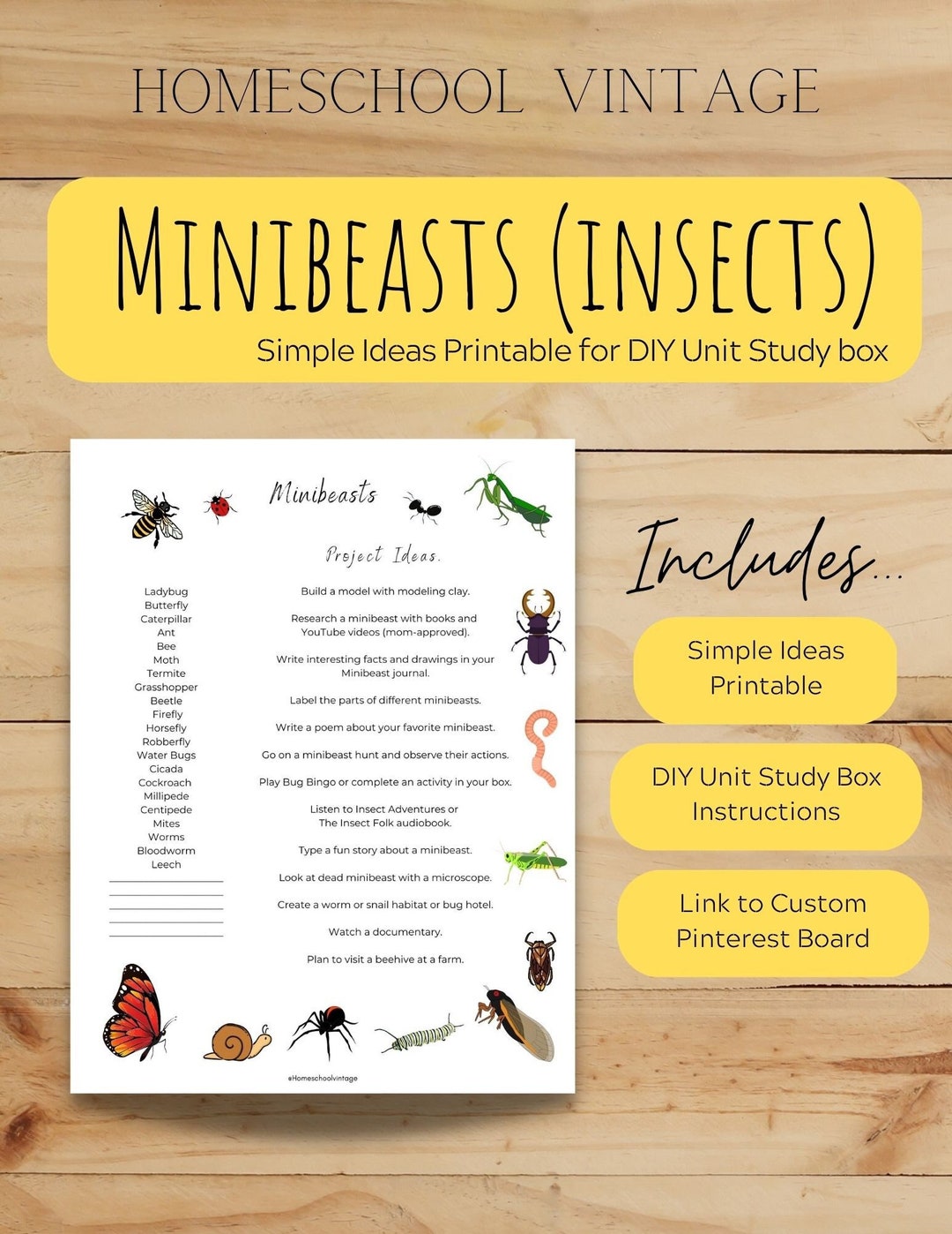 Minibeasts (insects) Simple Ideas Homeschool Printable & DIY Unit Study ...