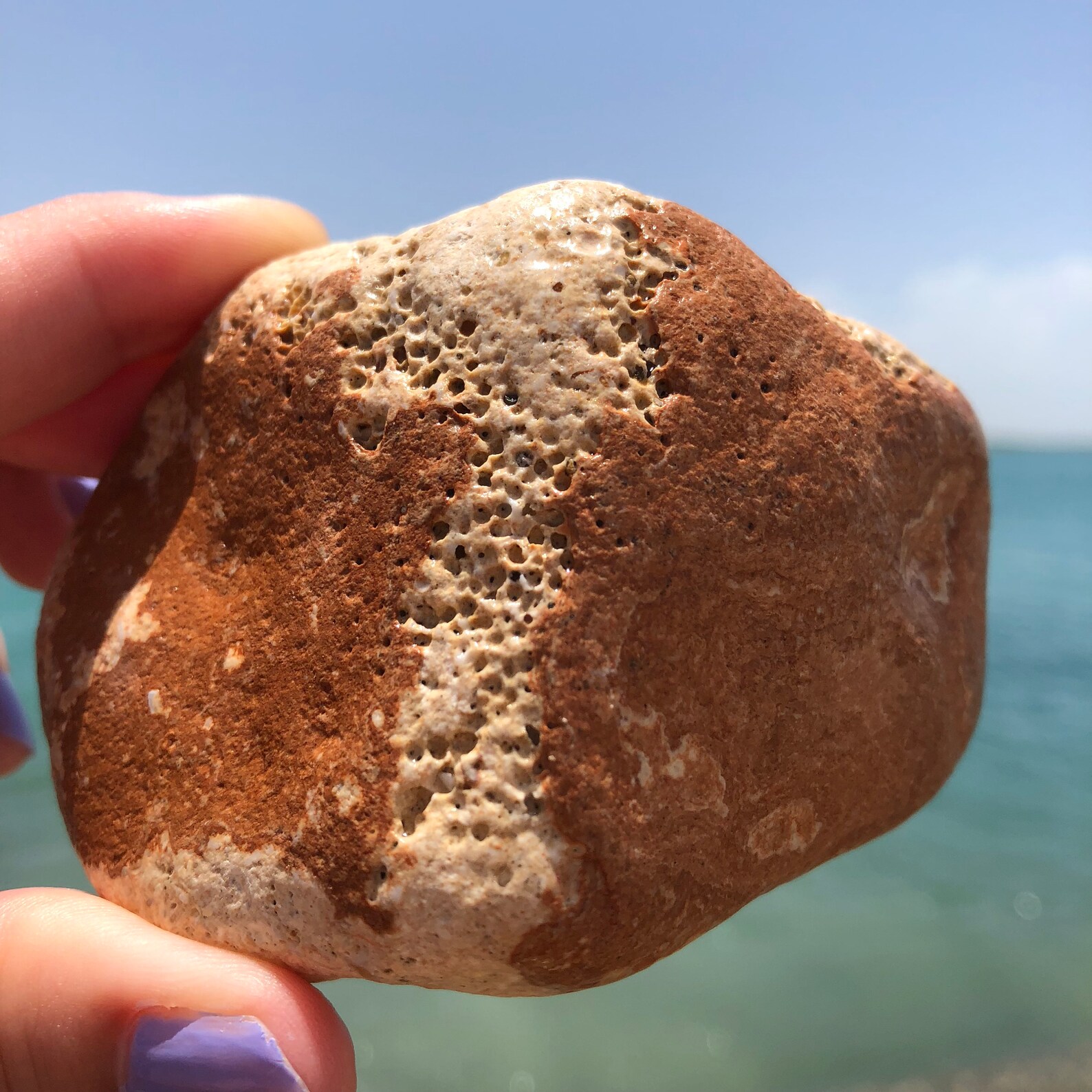Mineral Sea Rock, Pudding Stone, Rare Sea Rock, Rock Decor, Stone ...