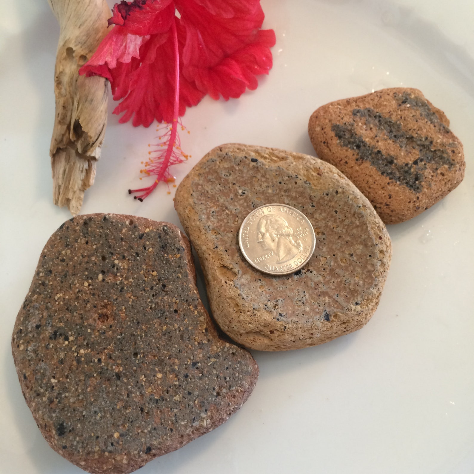 Beach Vintage Pottery Terracotta Sea Pottery Sea Pottery | Etsy