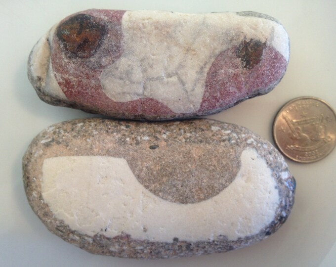 Rock Sea Potterybulk 2 Pieces Unique Beach Treasure Craft - Etsy