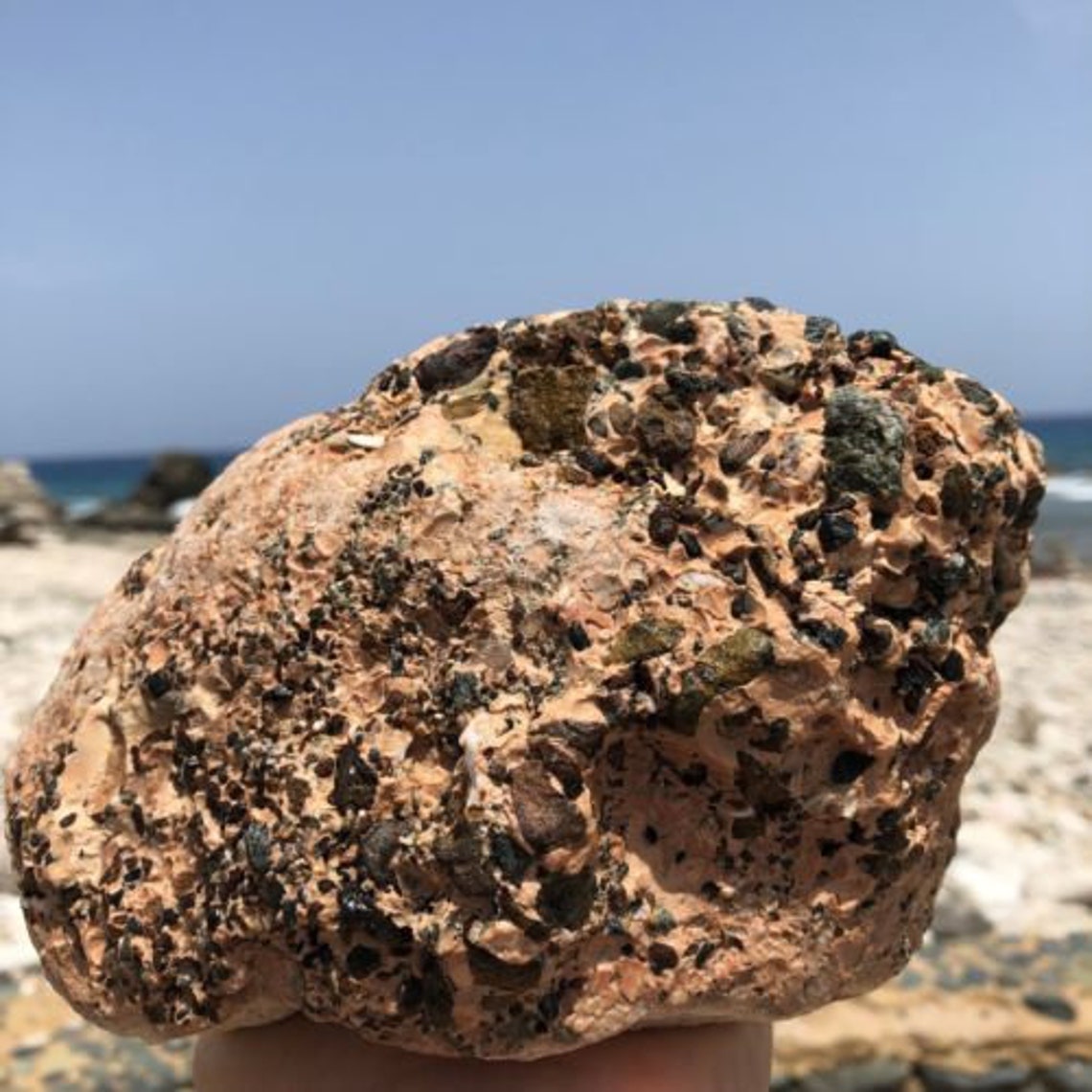 Mineral Sea Rock Pudding Stone Rare Sea Rock Rock Decor - Etsy