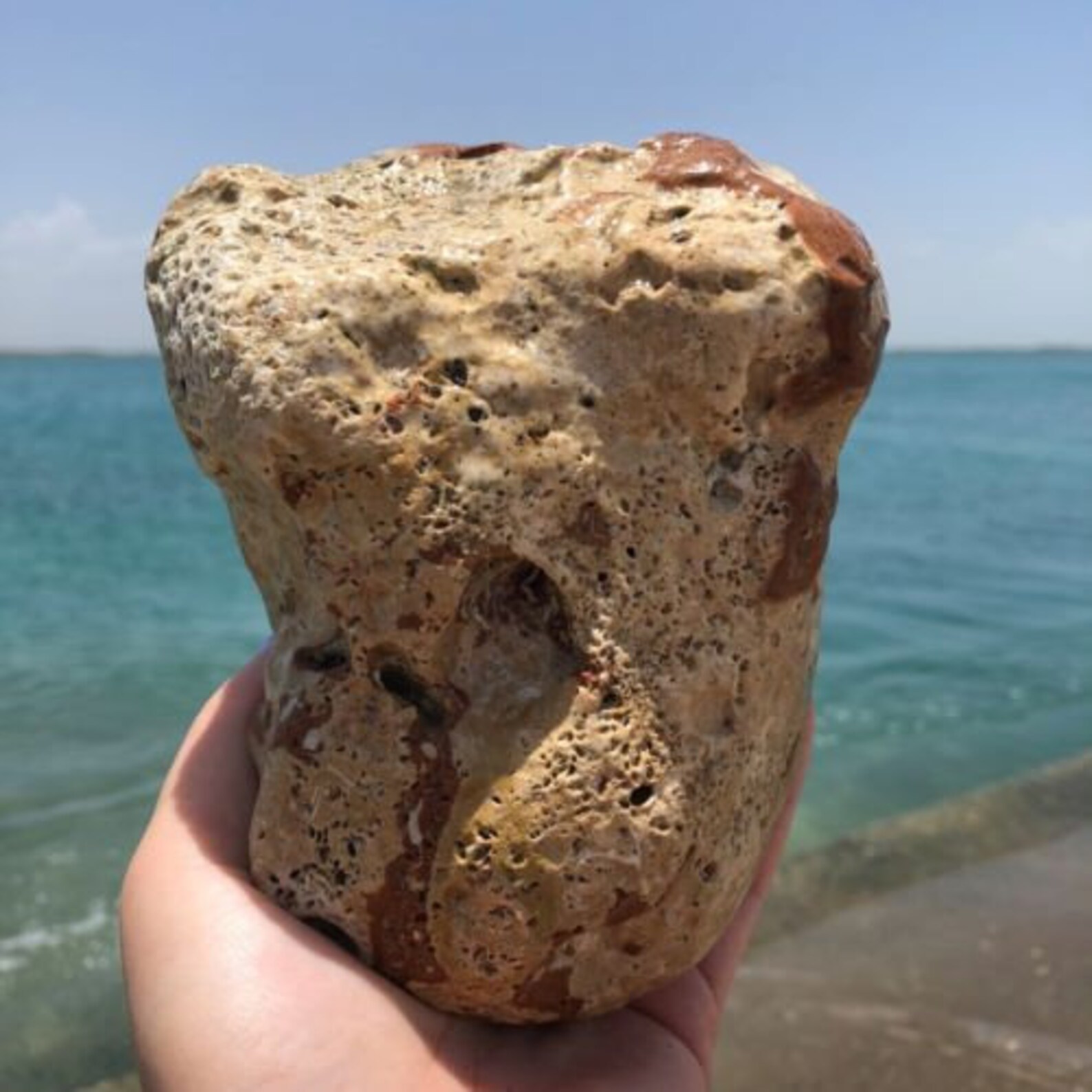 Mineral Sea Rock, Pudding Stone, Rare Sea Rock, Rock Decor, Stone ...