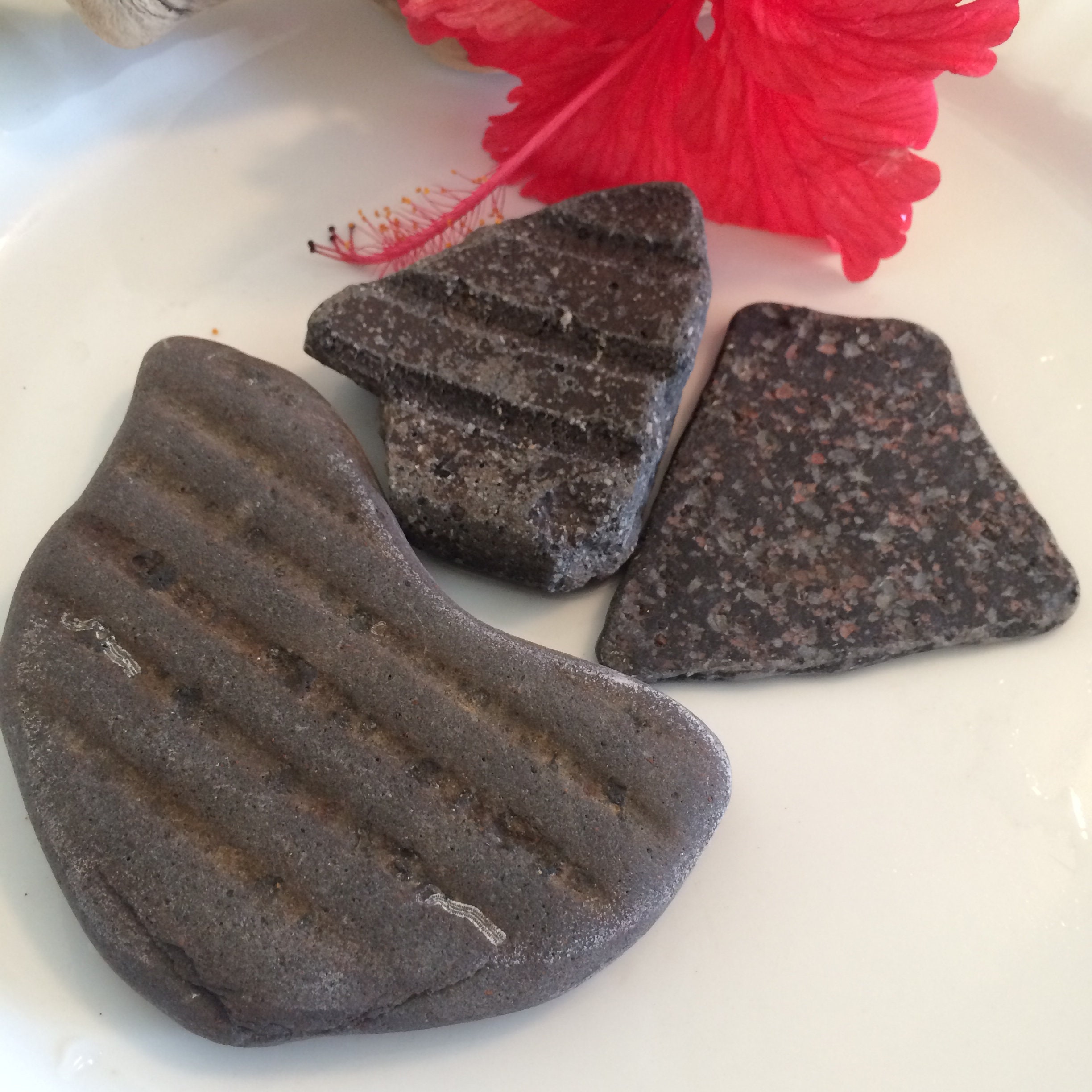 Beach Vintage Pottery Terracotta Sea Pottery Sea Pottery | Etsy