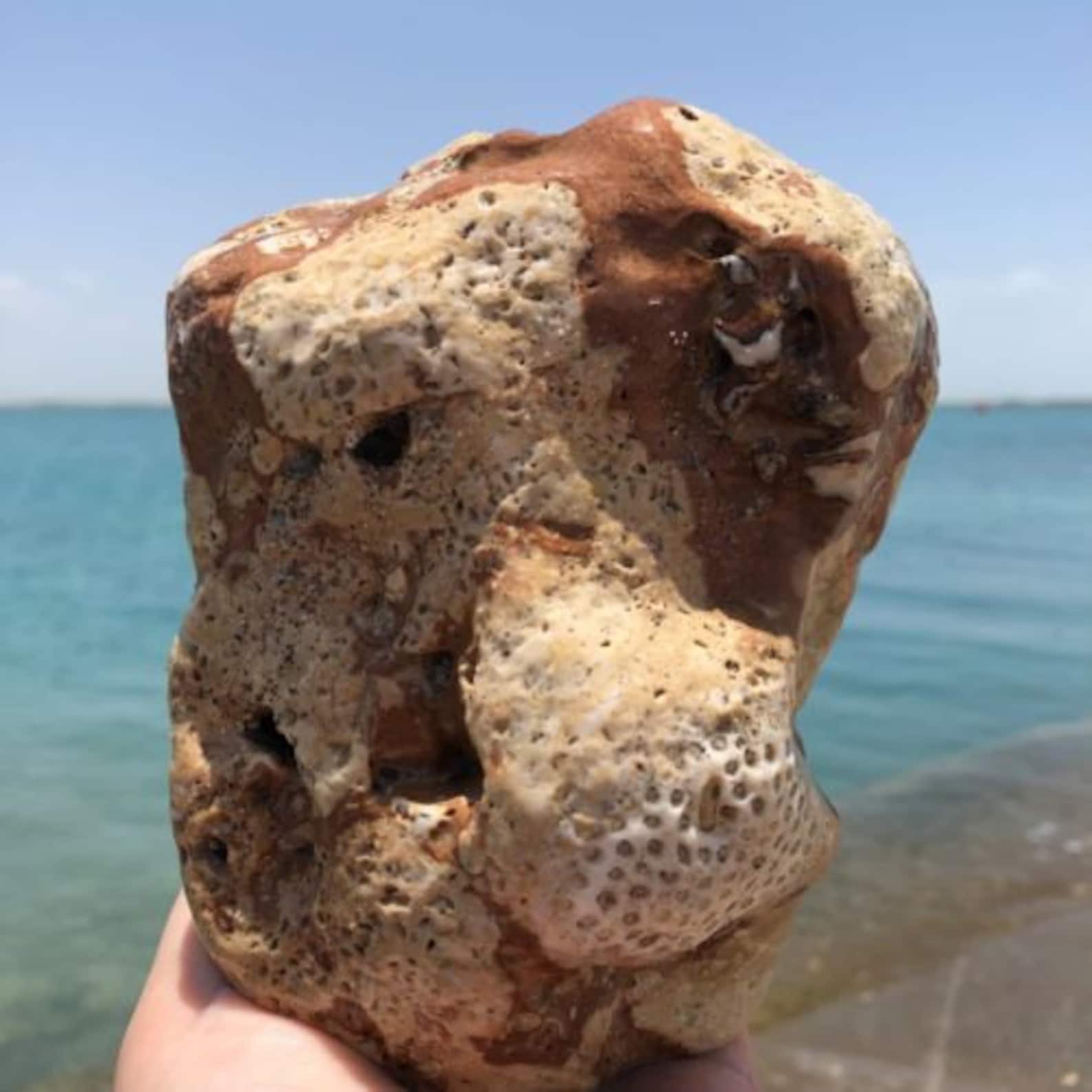 Mineral Sea Rock Pudding Stone Rare Sea Rock Rock Decor | Etsy