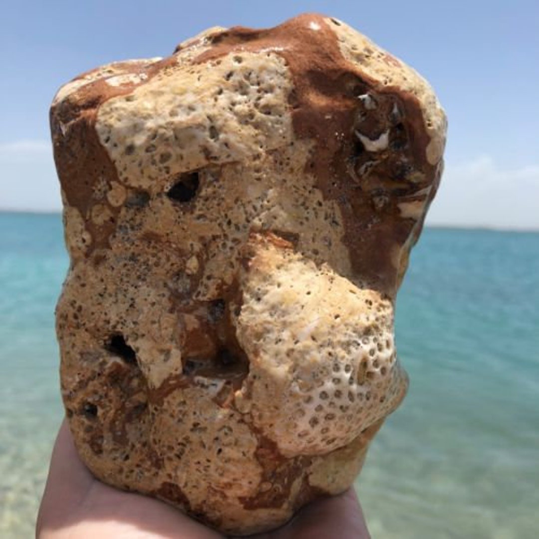 Mineral Sea Rock, Pudding Stone, Rare Sea Rock, Rock Decor, Stone ...