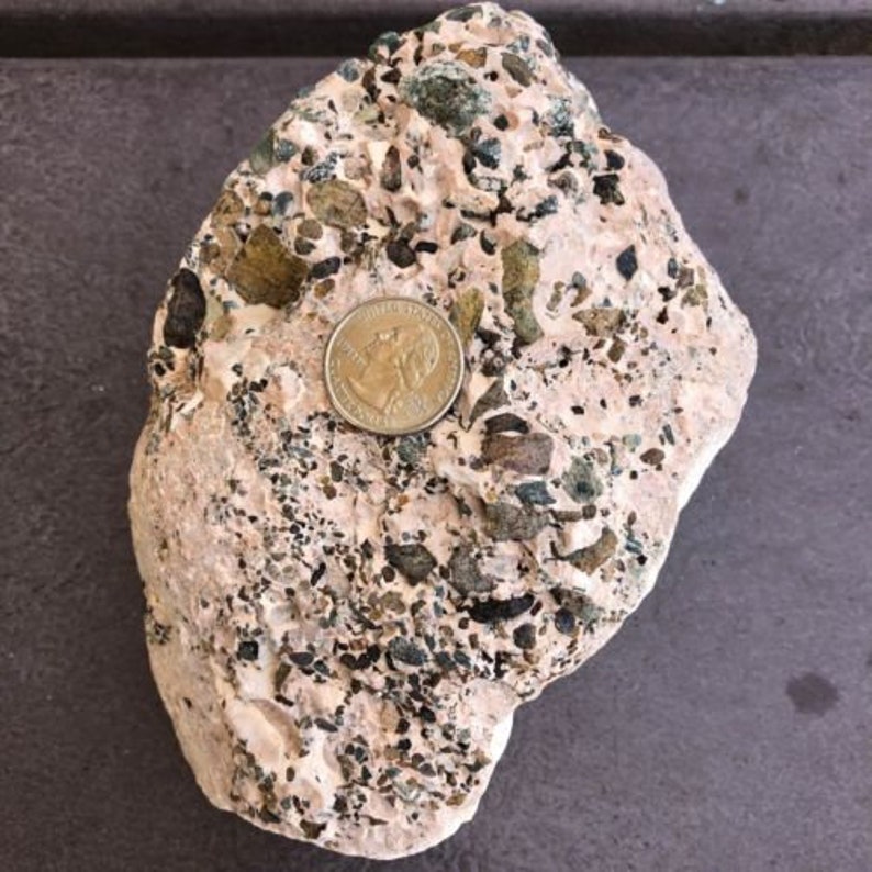 Mineral Sea Rock Pudding Stone Rare Sea Rock Rock Decor - Etsy