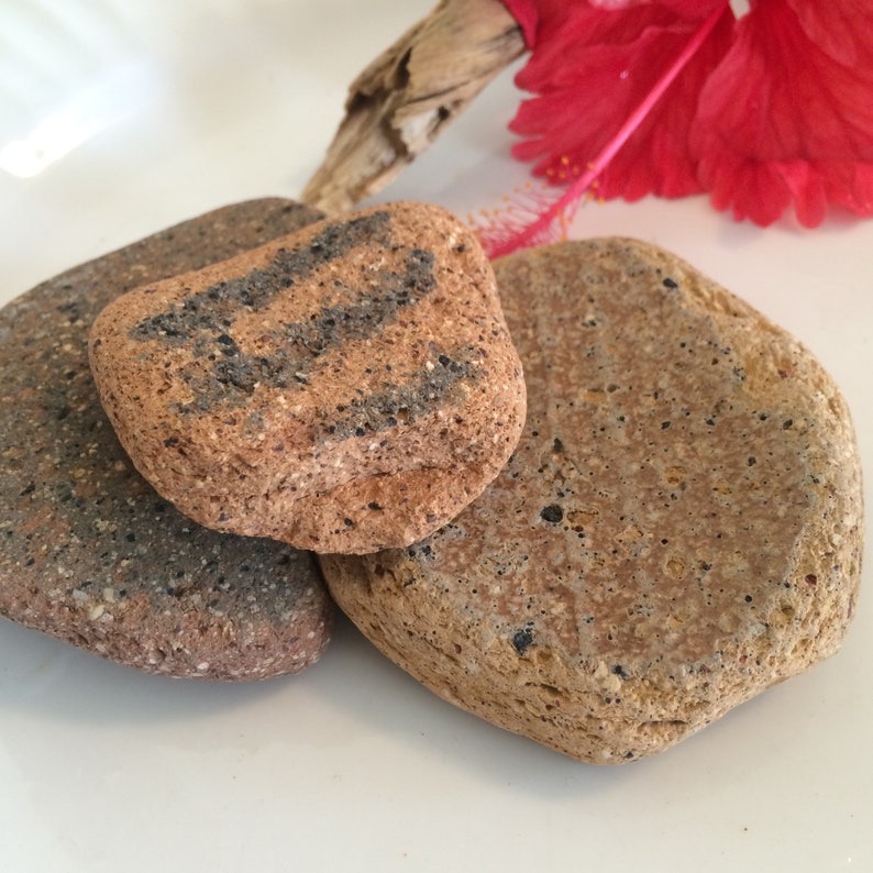 Beach Vintage Pottery Terracotta Sea Pottery Sea Pottery | Etsy