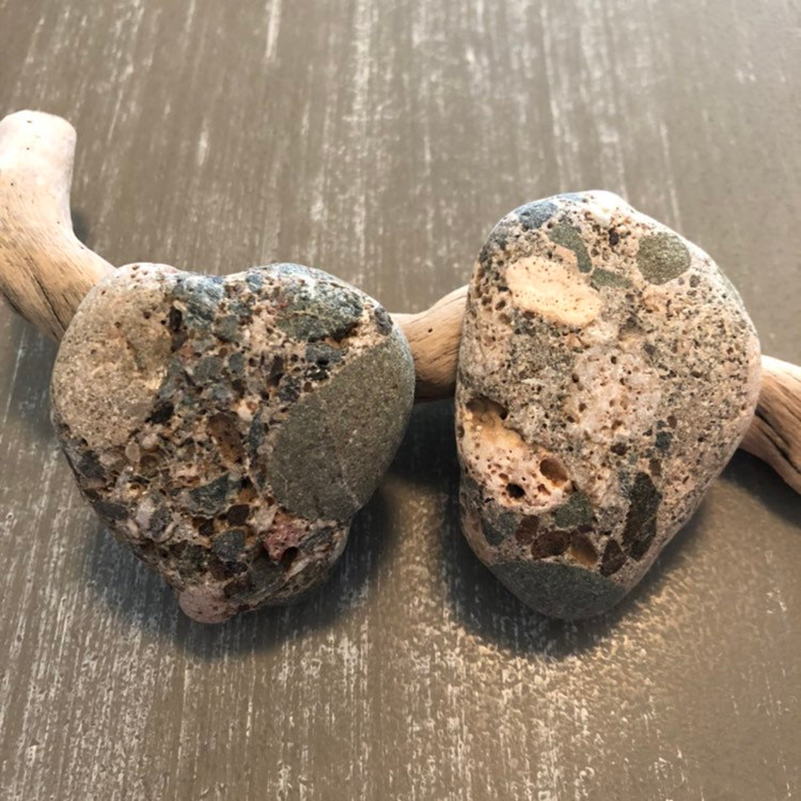 Mineral Sea Rock Cool Rock Embedded Rock Caribbean Rock | Etsy