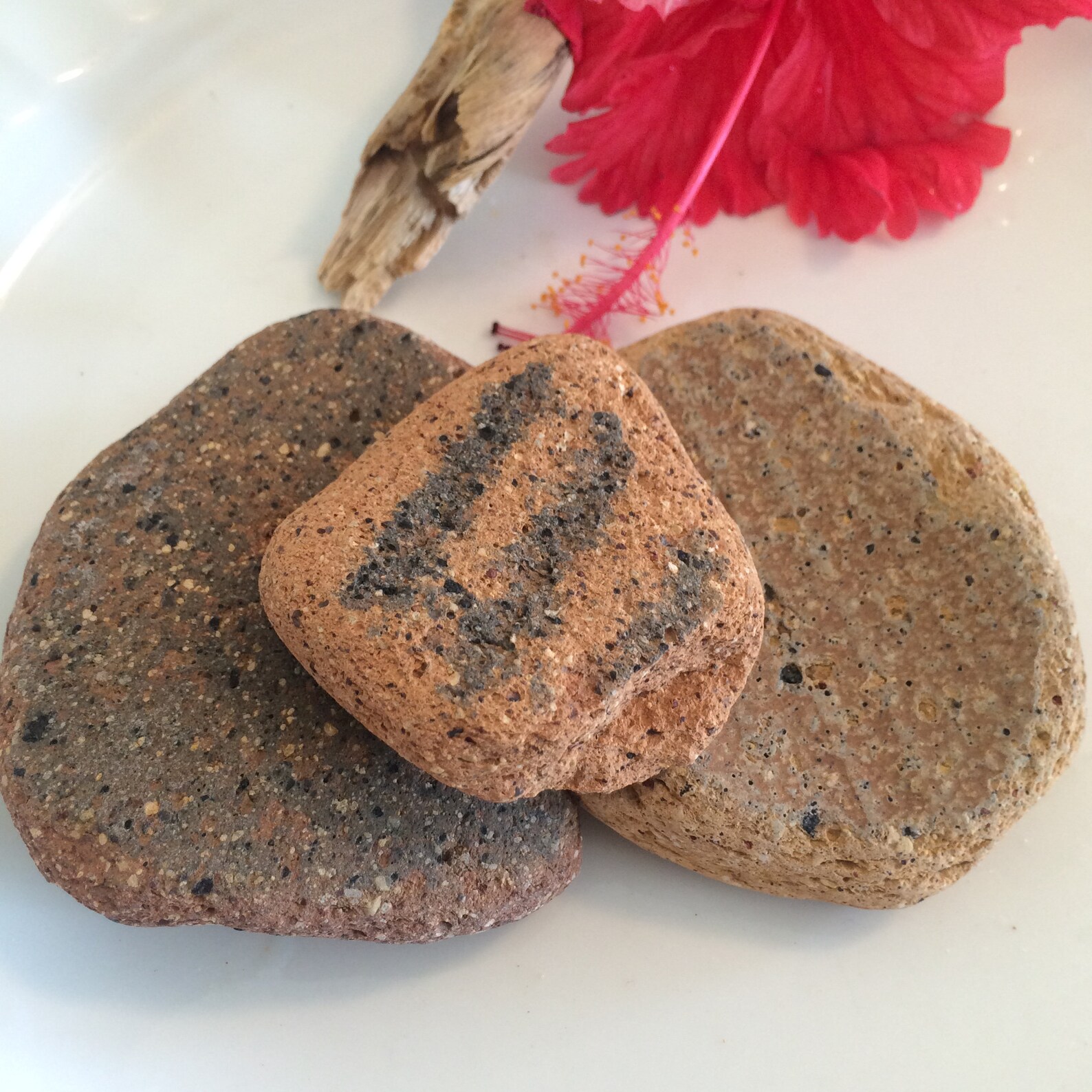 Beach Vintage Pottery Terracotta Sea Pottery Sea Pottery - Etsy