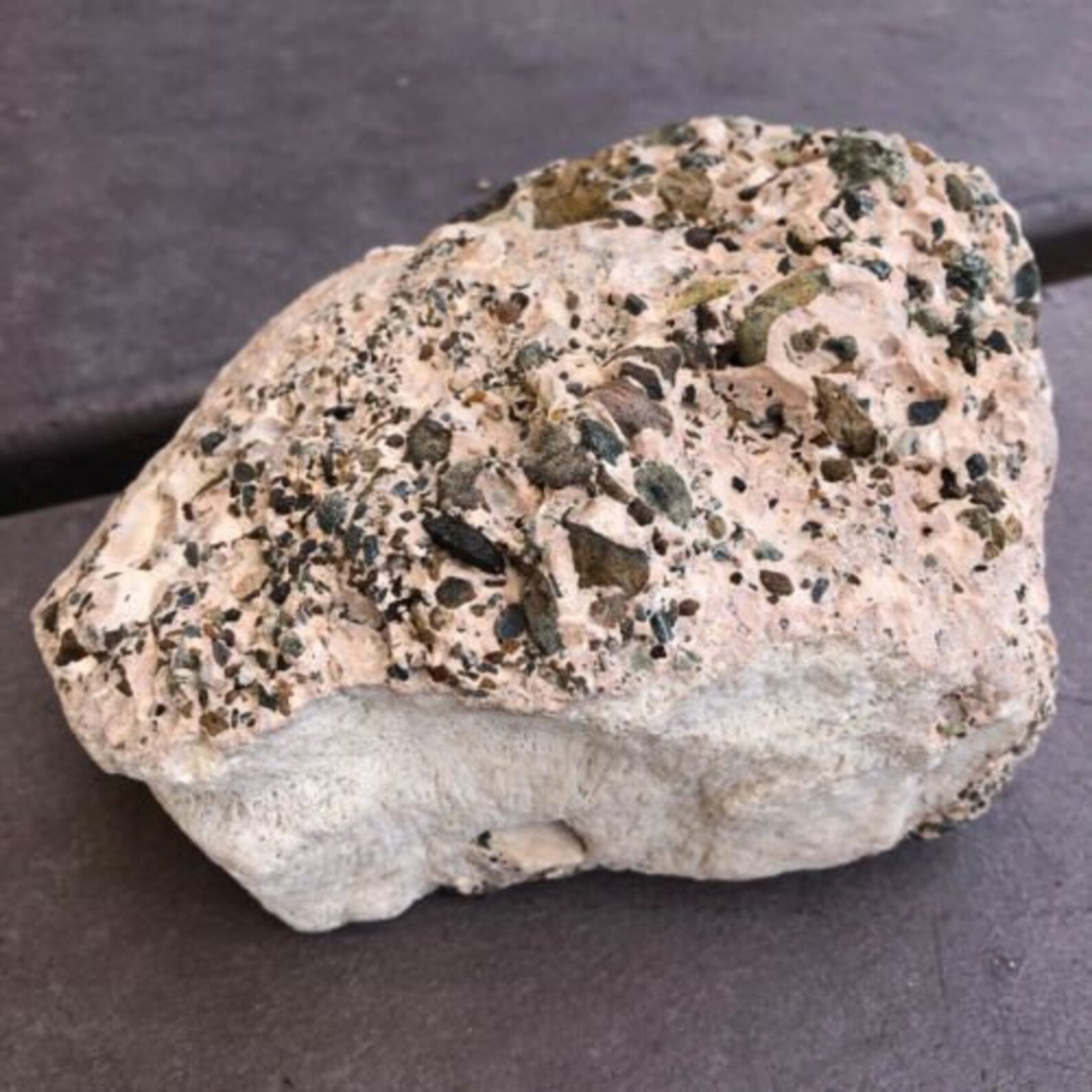 Mineral Sea Rock, Pudding Stone, Rare Sea Rock, Rock Decor, Stone ...