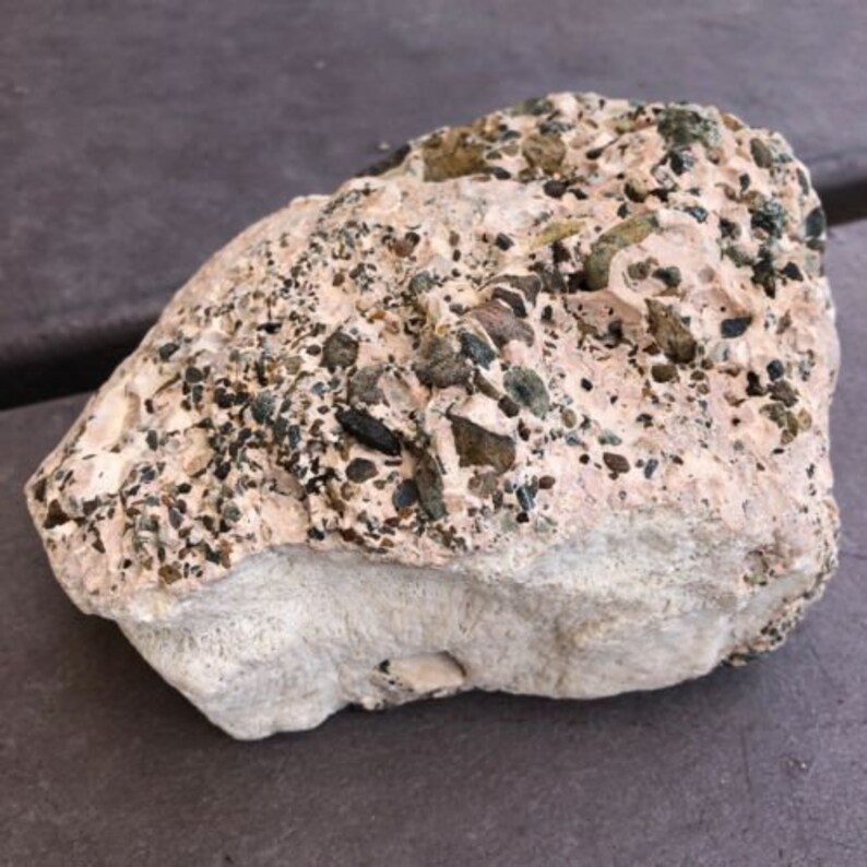 Mineral Sea Rock Pudding Stone Rare Sea Rock Rock Decor - Etsy