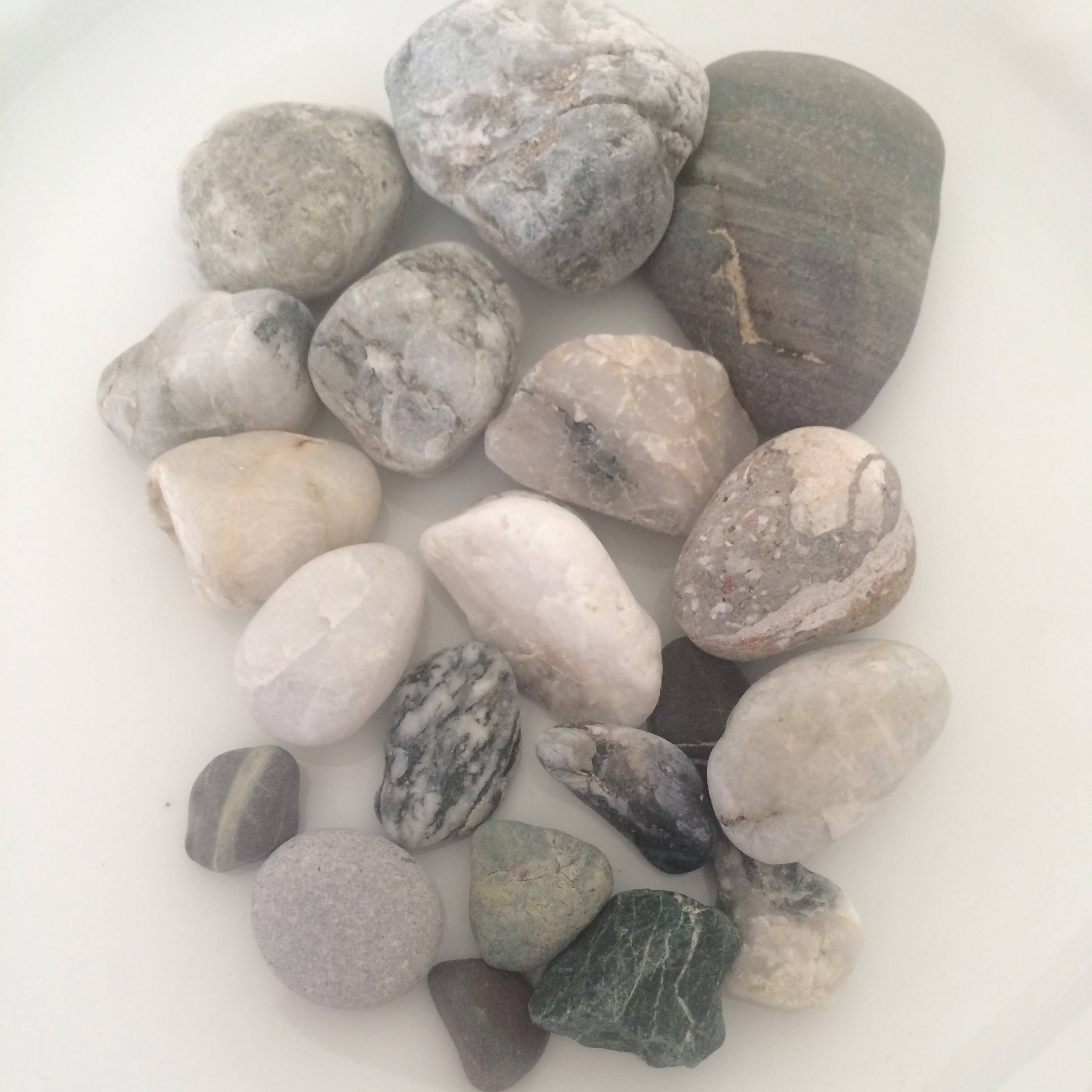 Vase Filler Sea Rocks Rock Decor Craft Supplies Bulk Sea | Etsy