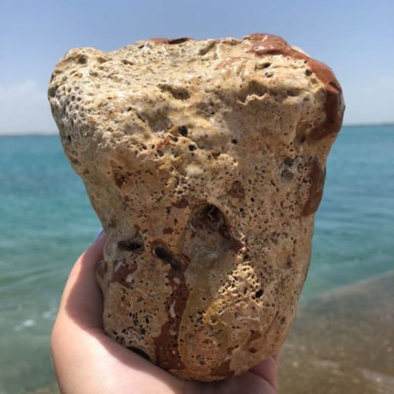 Mineral Sea Rock Pudding Stone Rare Sea Rock Rock Decor | Etsy