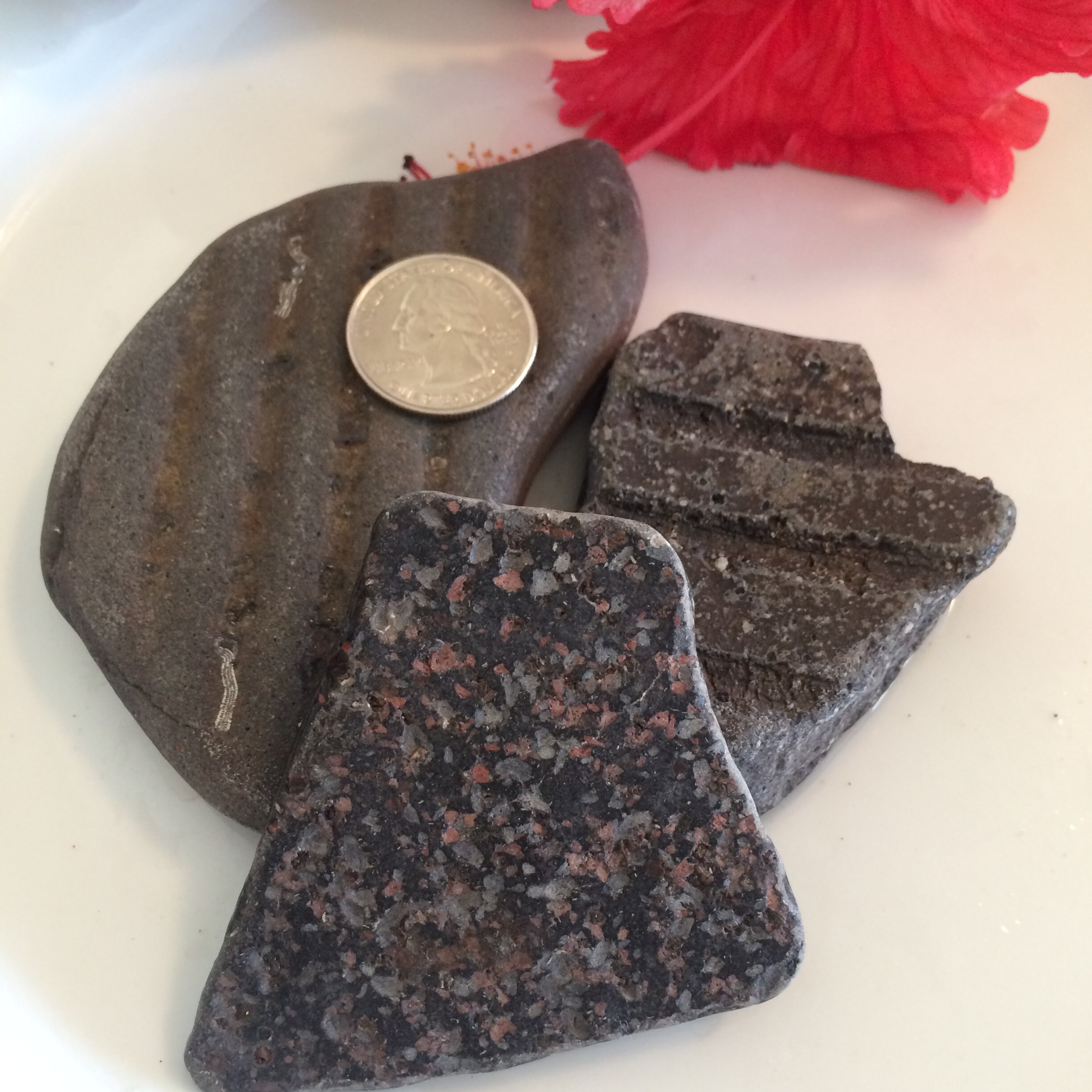 Beach Vintage Pottery Terracotta Sea Pottery Sea Pottery | Etsy