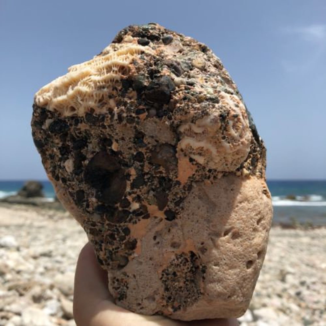 Mineral Sea Rock, Pudding Stone, Rare Sea Rock, Rock Decor, Stone ...