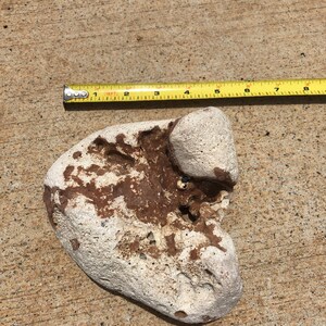 Natural Beach Stone Holes, Good Luck Stones, Sea Stone Decor, Hag ...