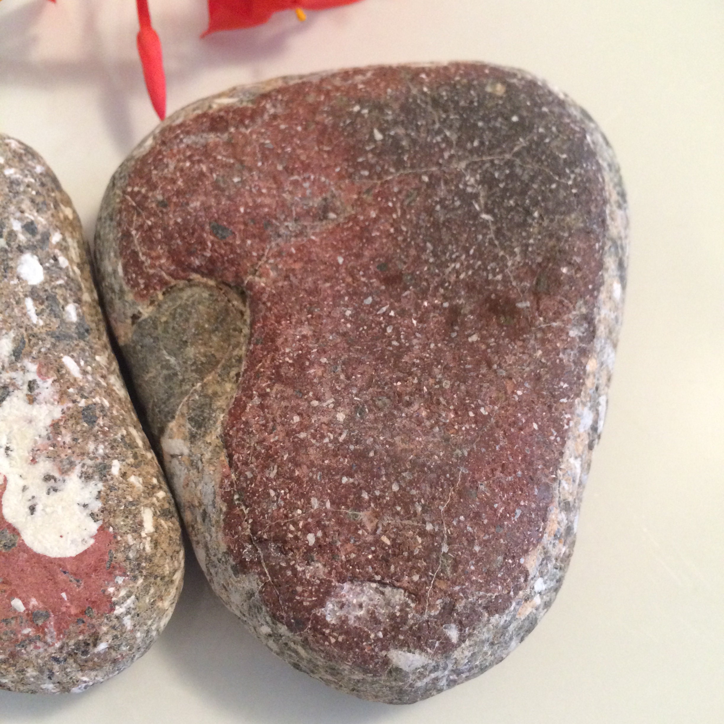 Fish Tank Decor, Rock Sea Pottery, Sea Pottery, Unique Beach Treasure ...