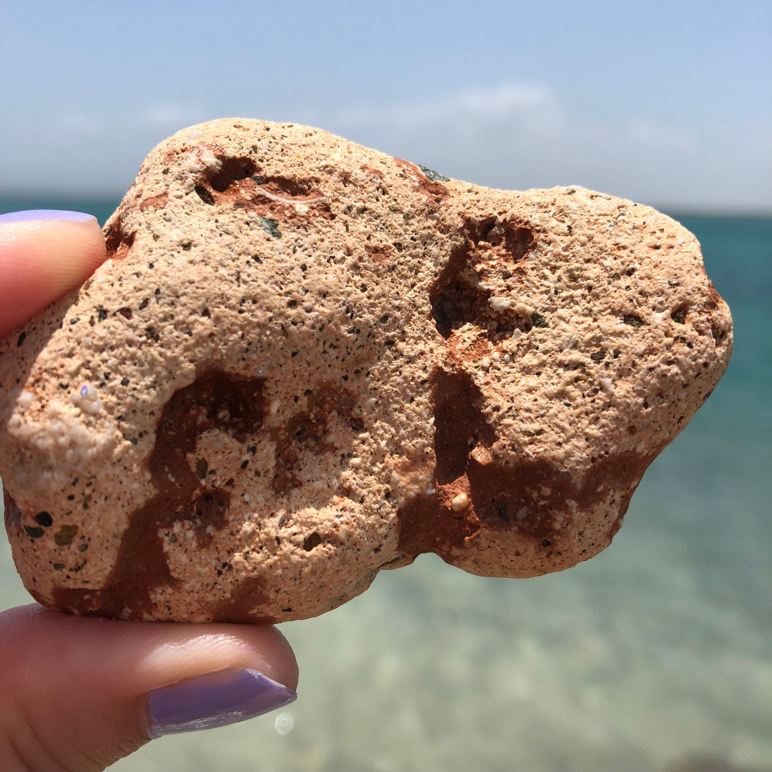 Mineral Sea Rock Pudding Stone Rare Sea Rock Rock Decor | Etsy