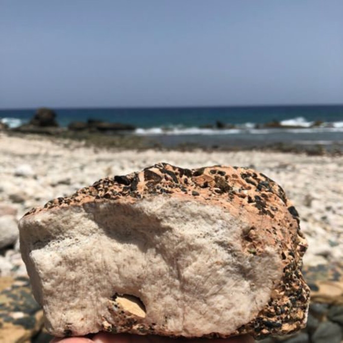 Mineral Sea Rock Pudding Stone Rare Sea Rock Rock Decor - Etsy