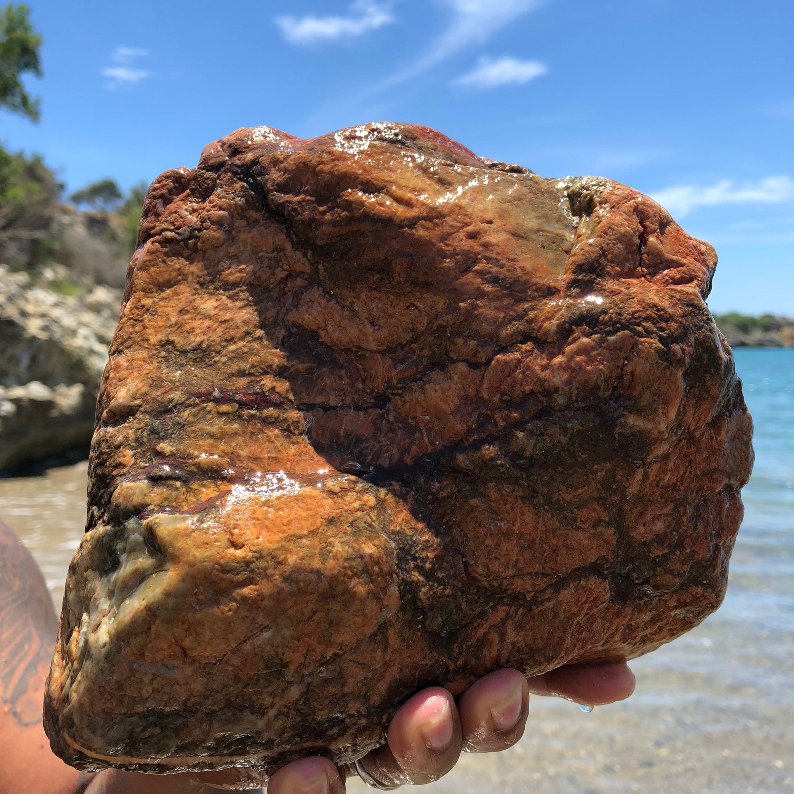 3 Mineral Sea Rocks Coral Fossils Embedded Rock Caribbean - Etsy