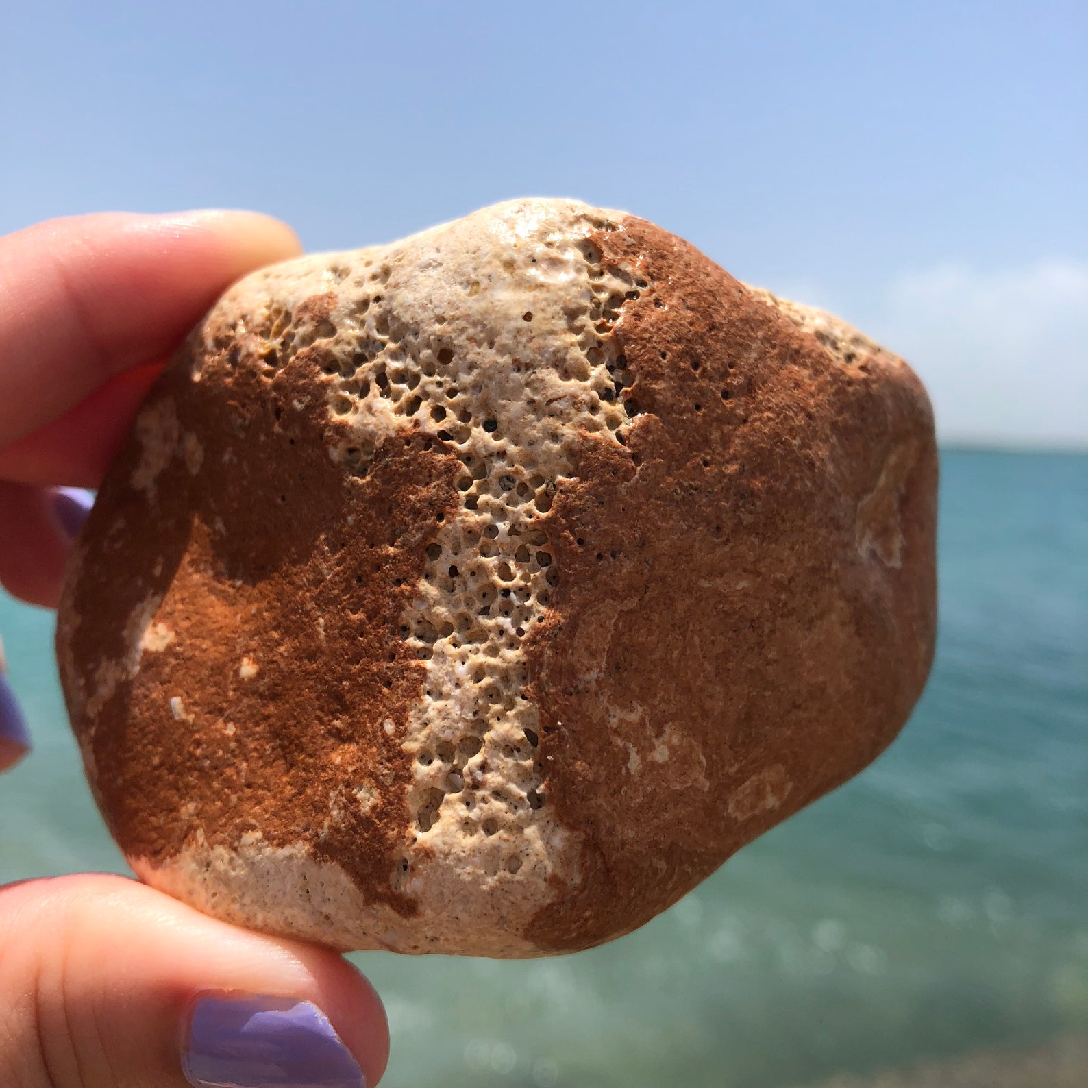 Mineral Sea Rock Pudding Stone Rare Sea Rock Rock Decor | Etsy