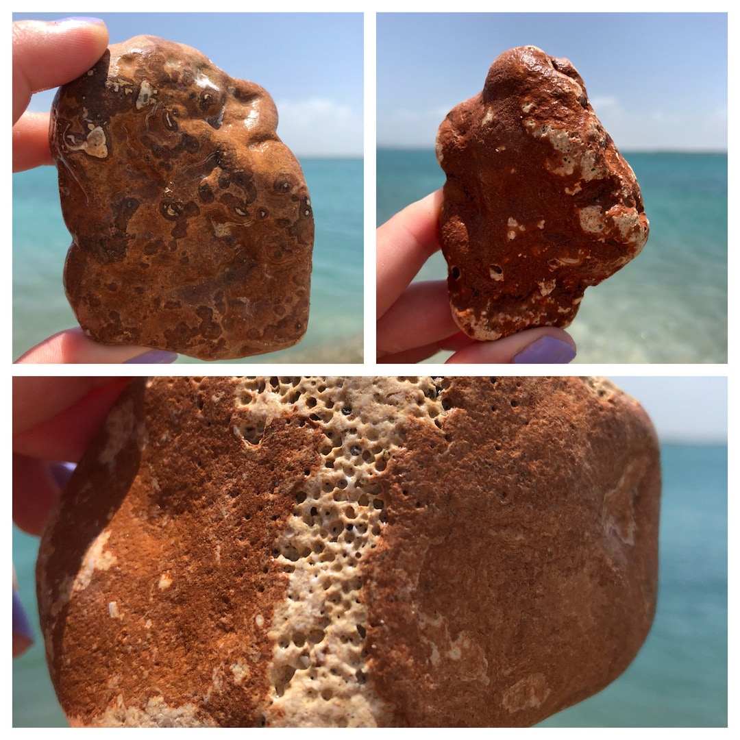 Mineral Sea Rock, Pudding Stone, Rare Sea Rock, Rock Decor, Stone ...