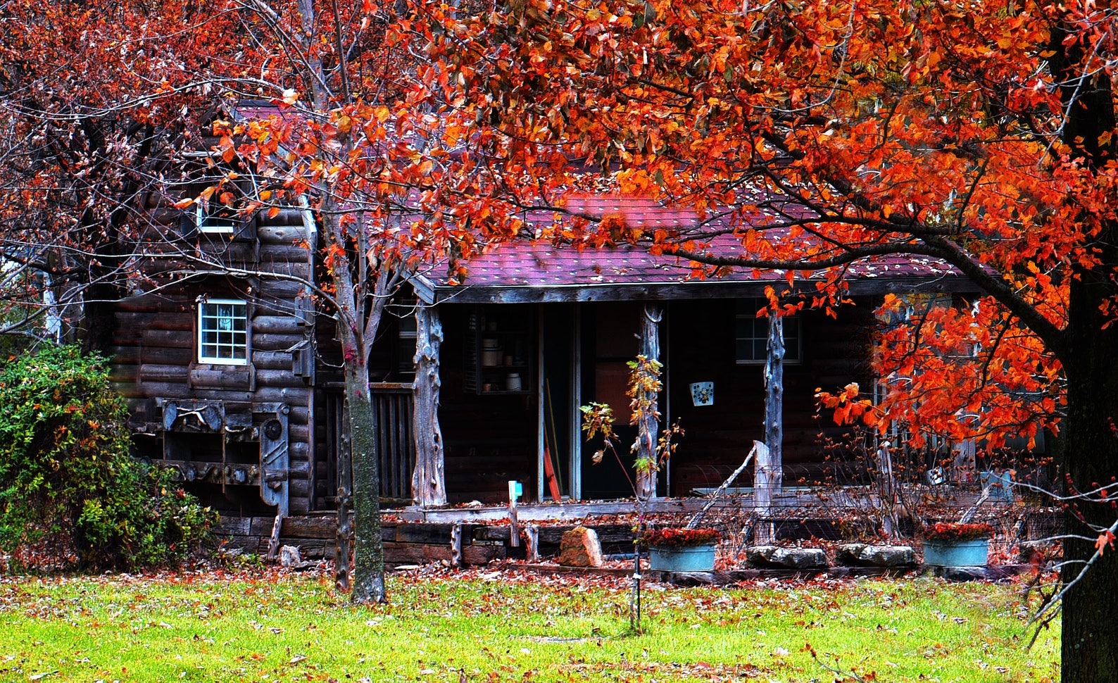 Log Cabin in the Fall With Fall Leaves Are Bright Oranges and Reds ...
