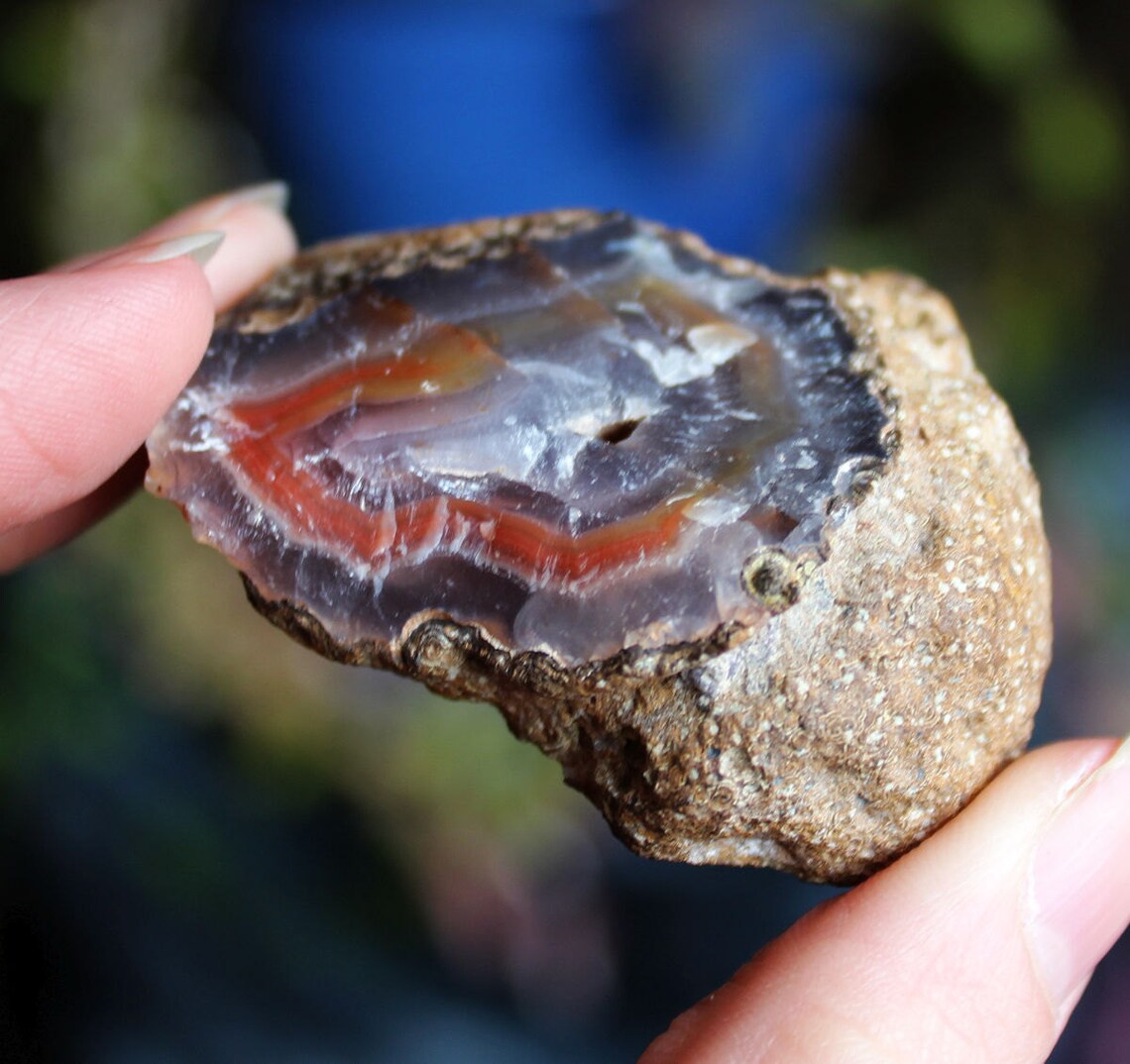 Laguna Agate Geode Half Cut & Polished | Etsy