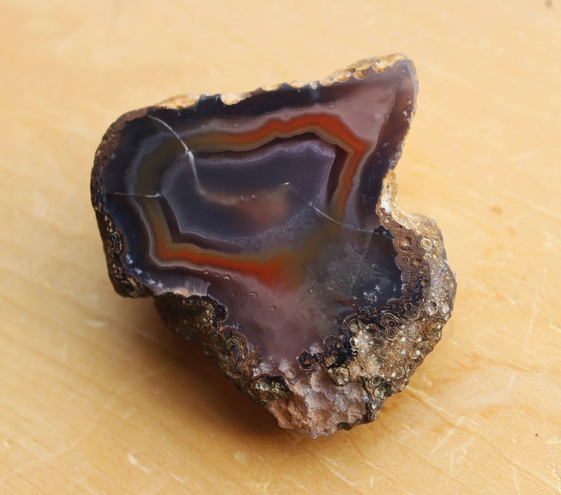 Laguna Agate Geode Half Cut & Polished | Etsy