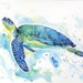 Sea Turtle Greetings A6 Greetings Card With Craft Paper - Etsy