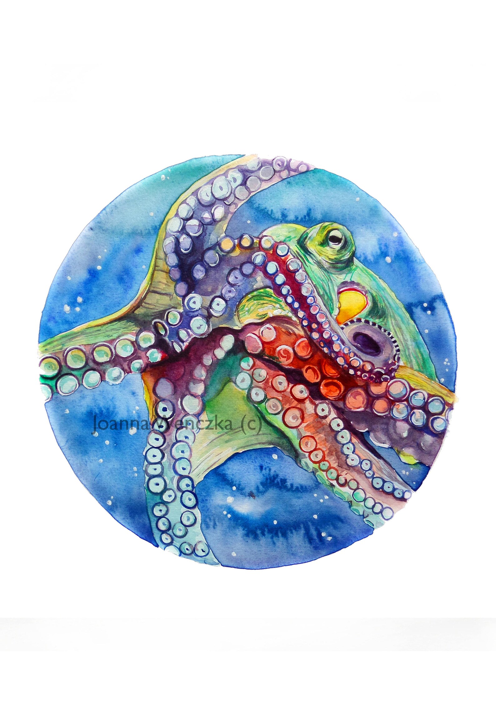 Multicoloured Octopus From Original Watercolour Painting - Etsy