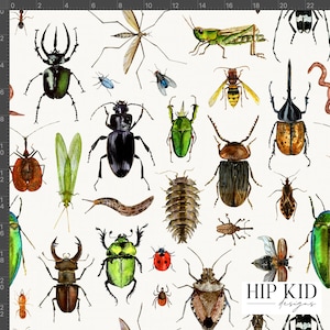 Bugs and Insects Wallpaper Nature, Bee, Beetle, Adventure Boys Room ...