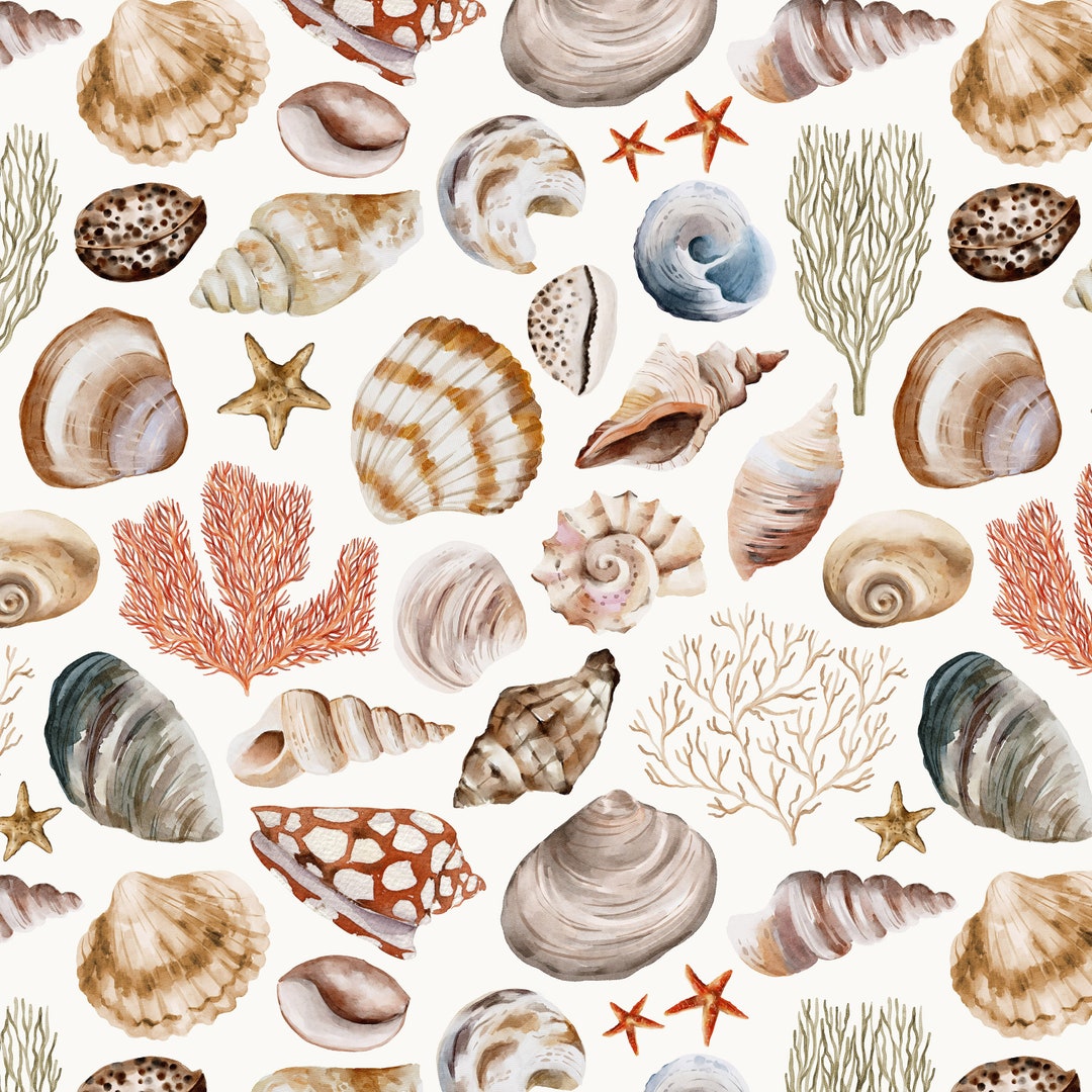 Sea Shells Fabric - Coastal Fabric, Ocean, Summer - Quilting Cotton ...