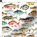 Watercolor Fish Fabric by the Yard. Quilting Cotton, Organic Knit ...
