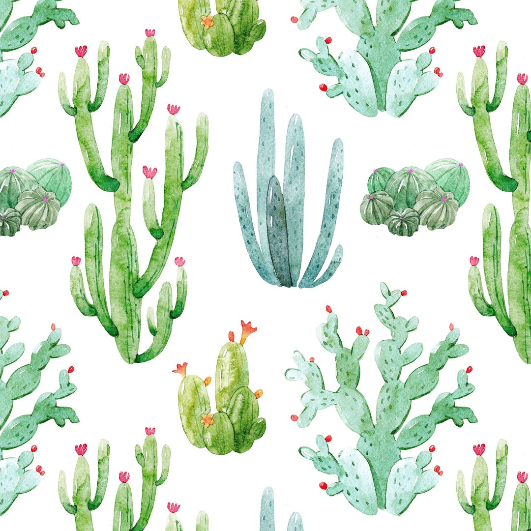 Watercolor Desert Cactus Fabric - Quilting Cotton, Sateen, Poplin, Knit ...