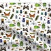 Bugs, Butterflies and Insects Fabric - Quilting Cotton, Organic Knit ...