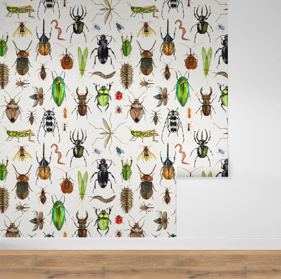 Bugs and Insects Wallpaper Nature, Bee, Beetle, Grasshopper, Adventure ...